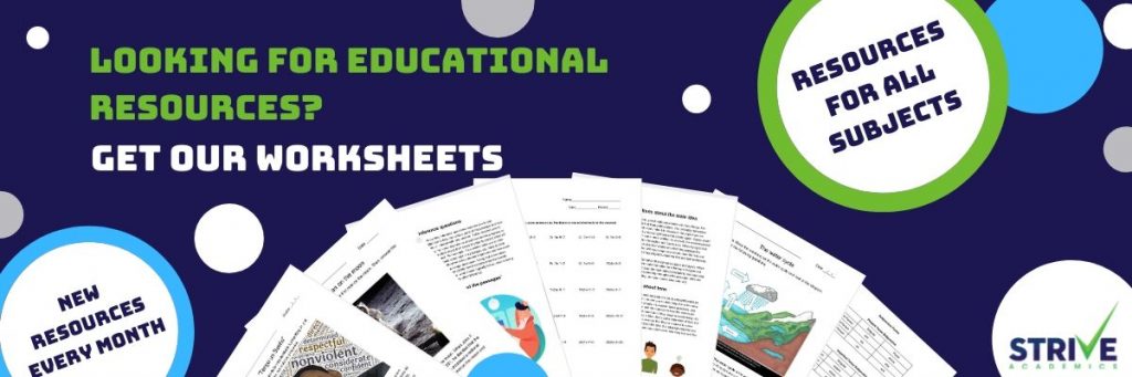 Home - Strive Academics