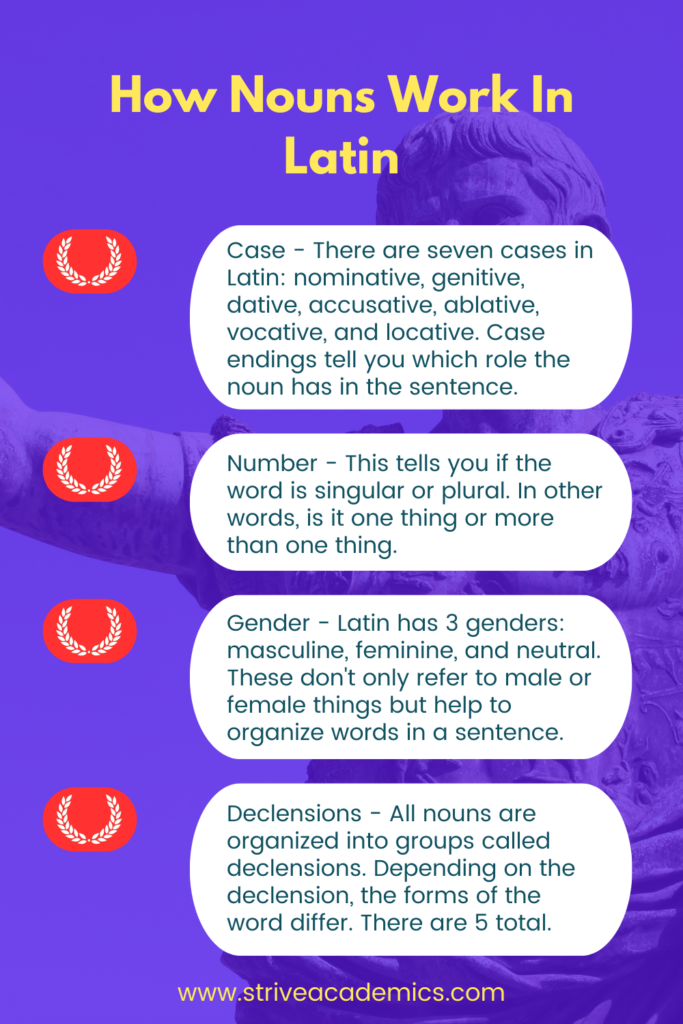 How Nouns Work In Latin Pin - Strive Academics
