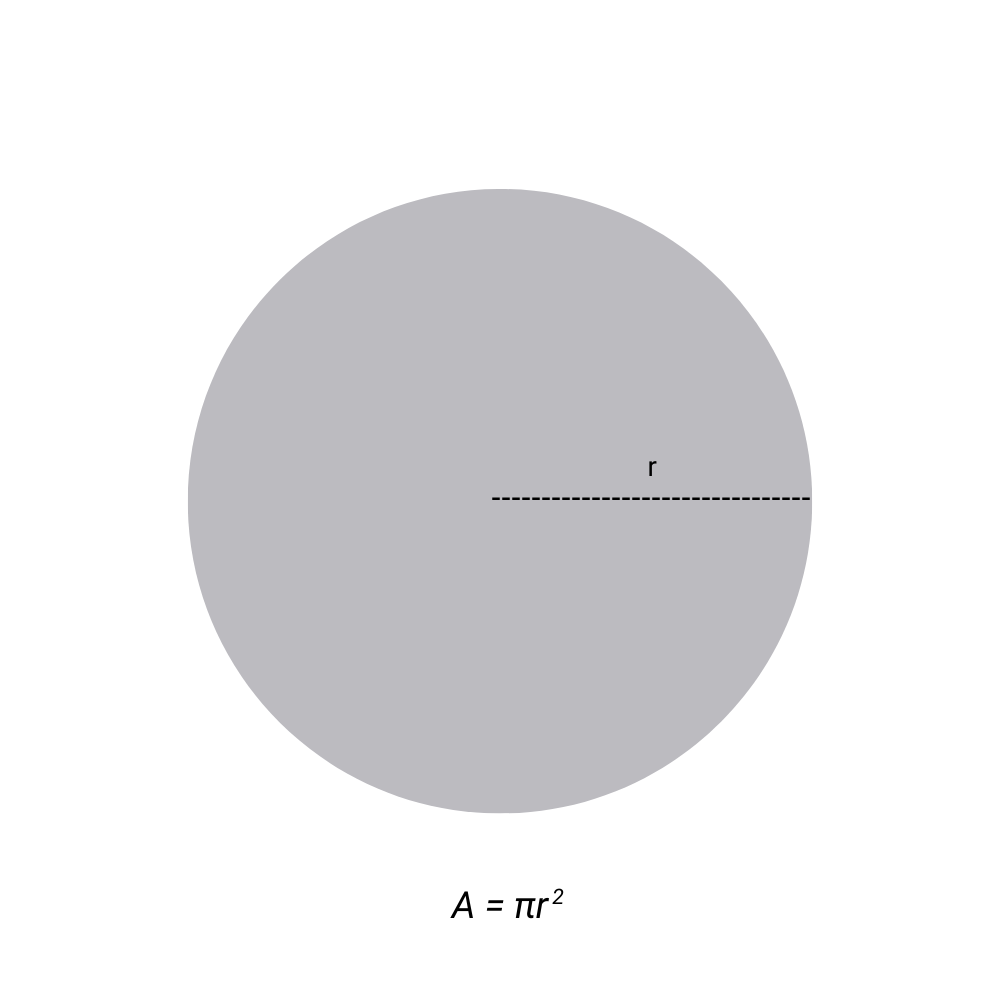 circle area - Strive Academics